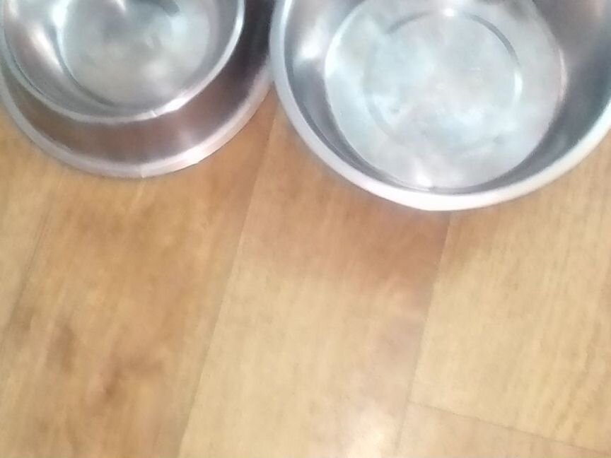 Миски для собак