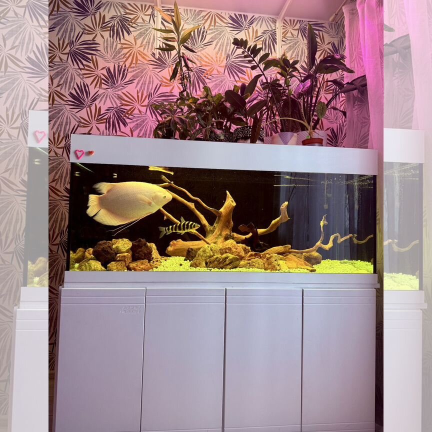 Аквариум aqua house 550 л