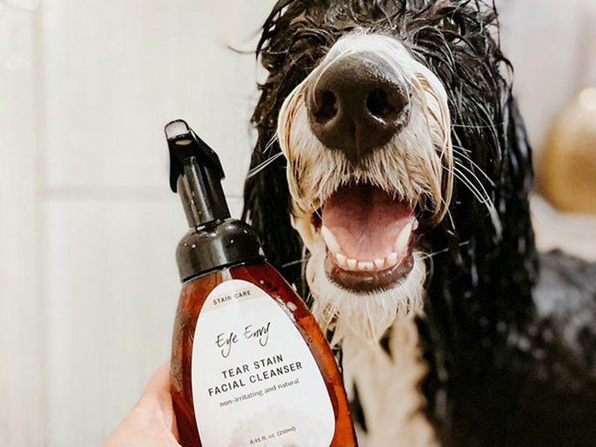 Пенка для удаления слезных дорожек Eye Envy