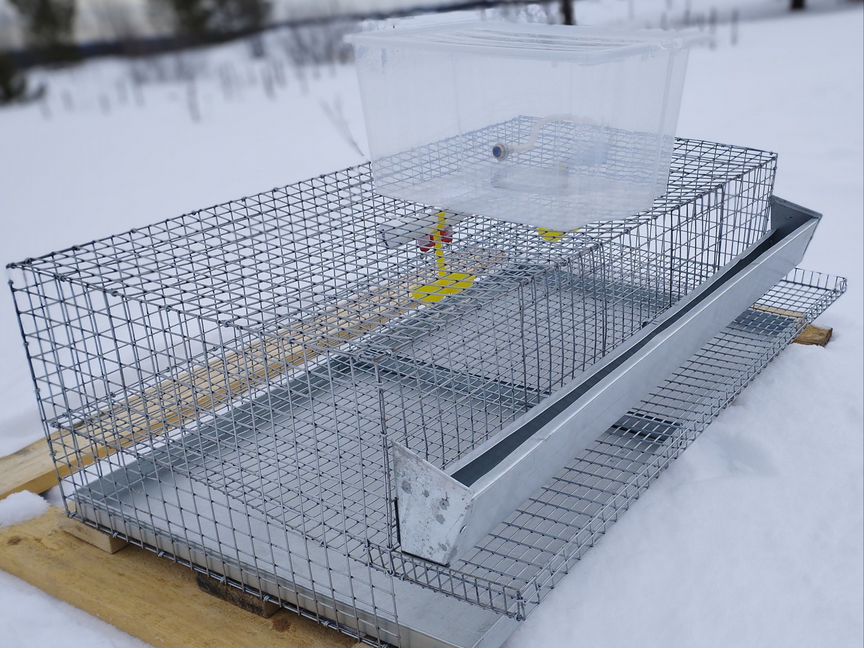 Клетка для перепелов новая на 30 птиц