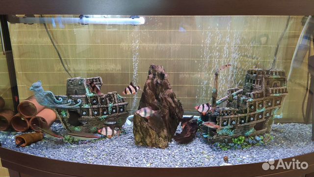 Аквариум арг 180 литров с тумбой