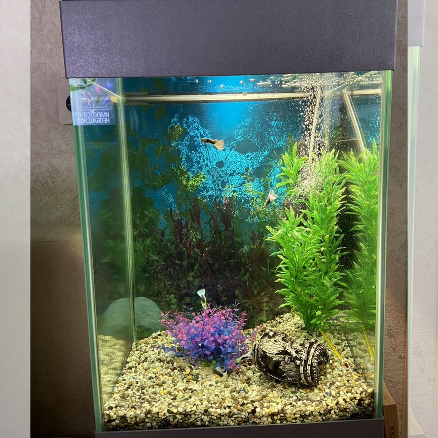 Аквариум 70 литров с рыбками