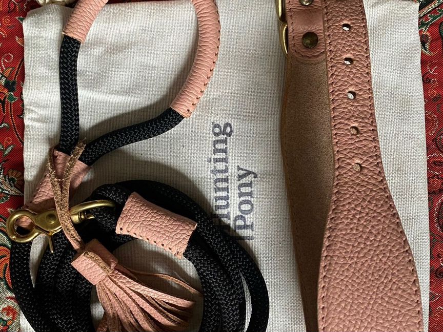 Hunting pony поводок и ошейник