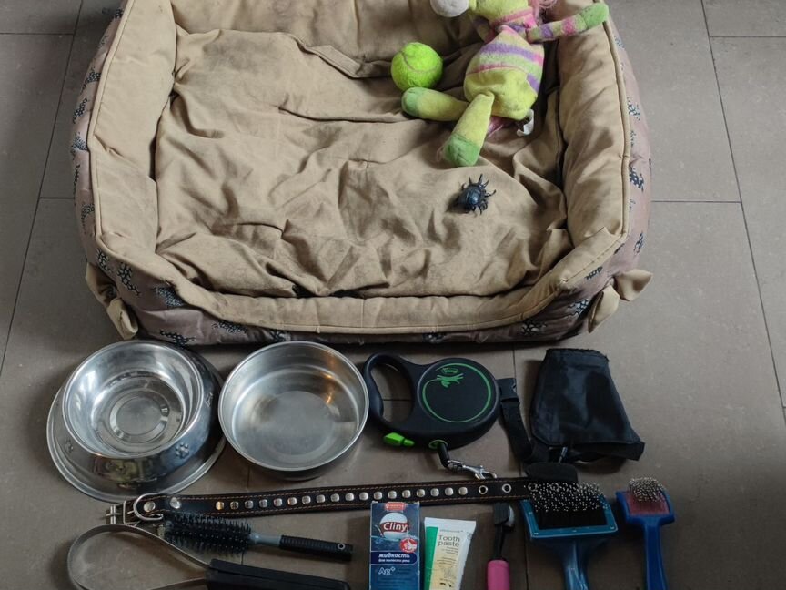 Лежак и уходовые принадлежности для собак