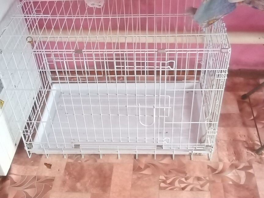 Комнатный вольер для собак