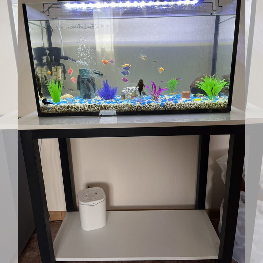 Аквариум с рыбками