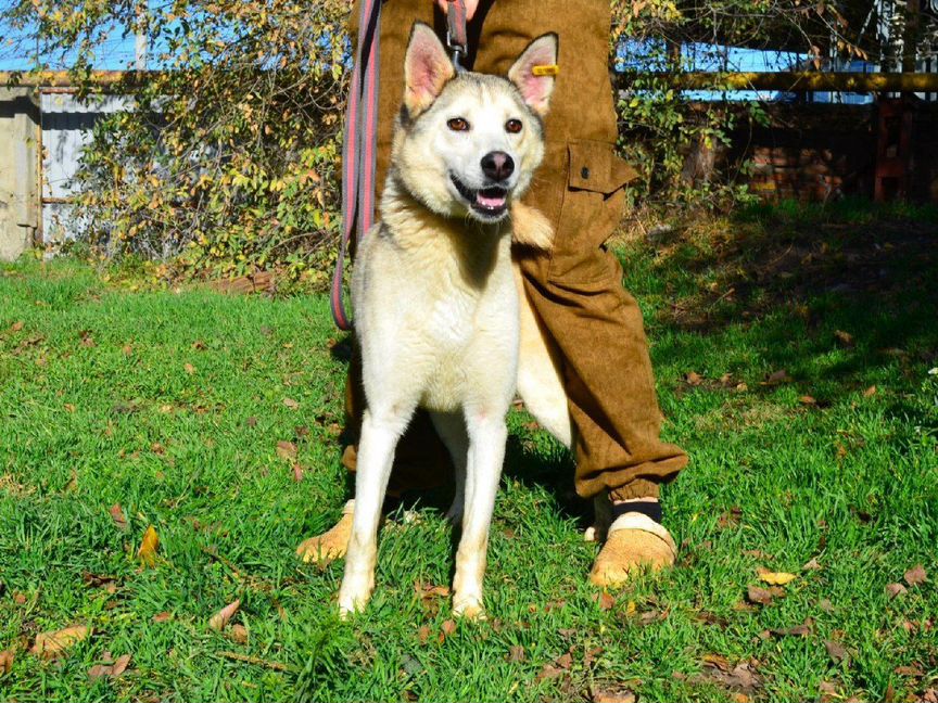 Агата в поисках семьи