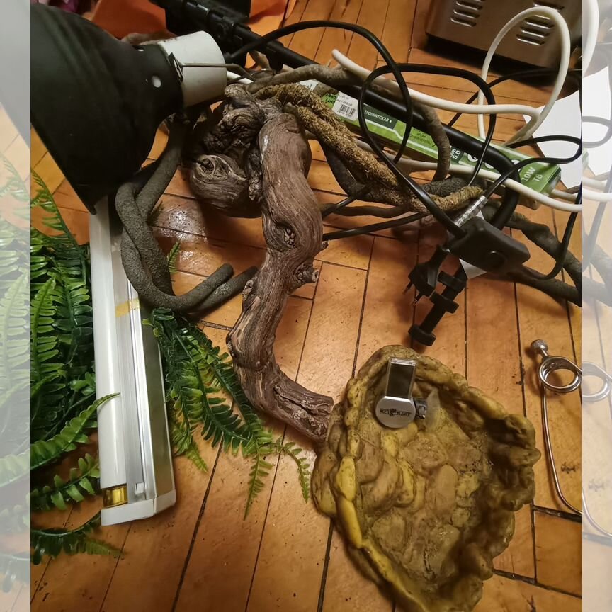 Лианы, коряга, поилка для рептилий