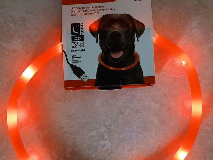 Ошейник с подсветкой led