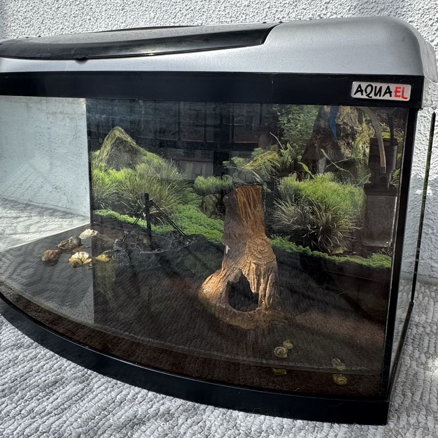 Прекрасный панорамный Аквариум Aguael на 60литров