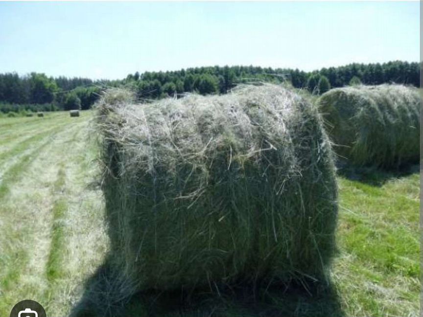 Сено луговое