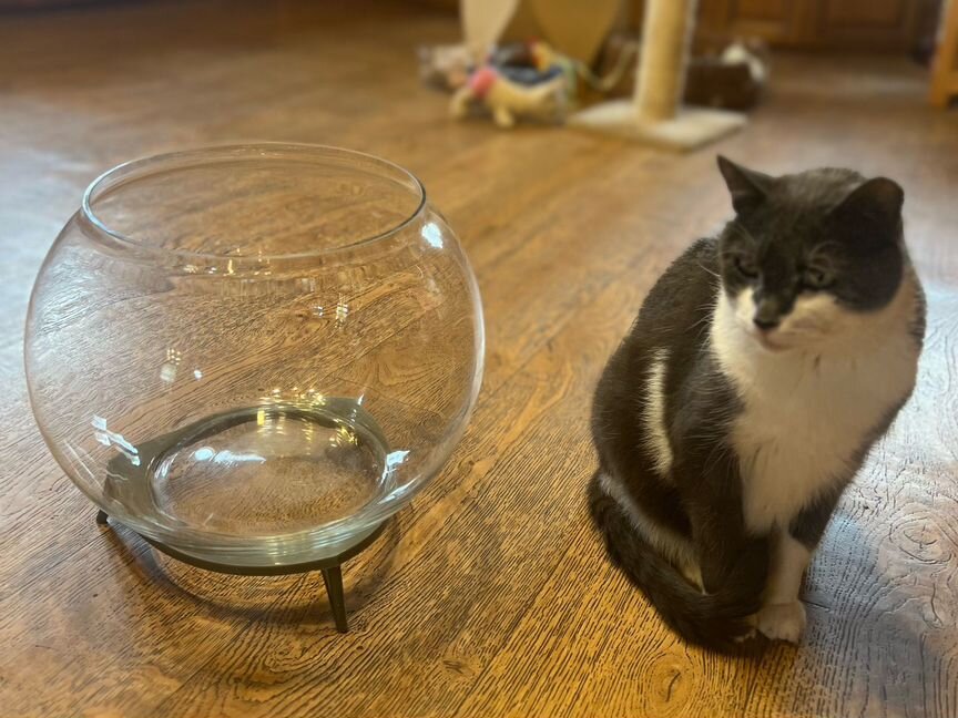 Аквариум- шар (на подставке)