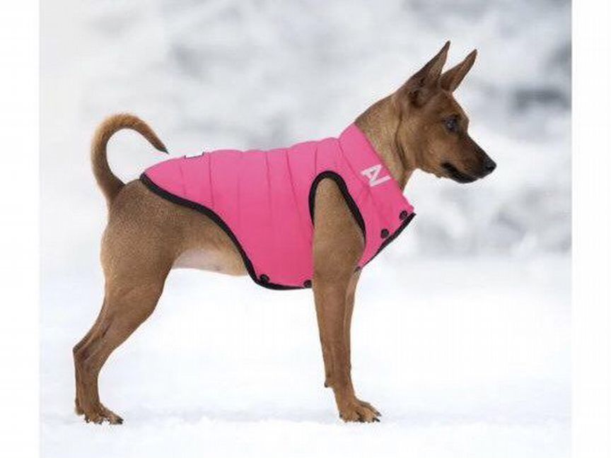 Одежда для собаки Airy Vest One