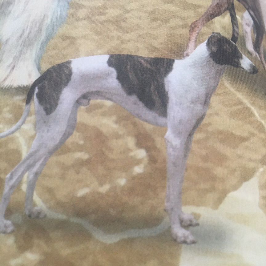 Щенки борзообразной охотничьей