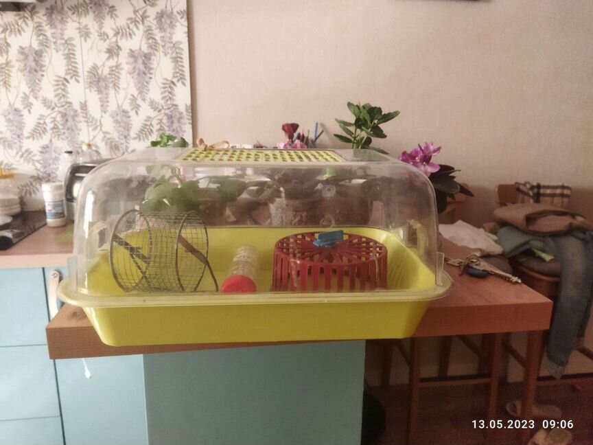 Клетка для хомяка бу