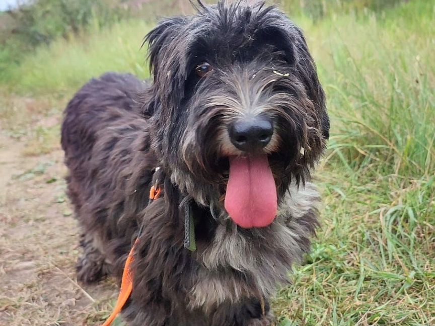 Малышка Соня в приюте