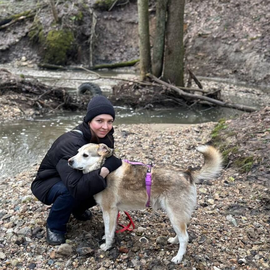 Собака в добрые руки мальчик