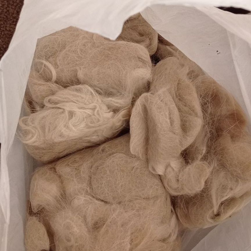 Шерсть собачья