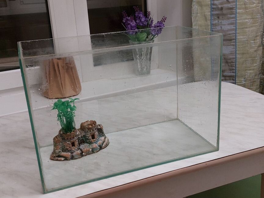 Аквариумные рыбки и растения