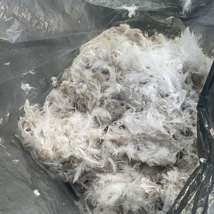 Гусиный пух