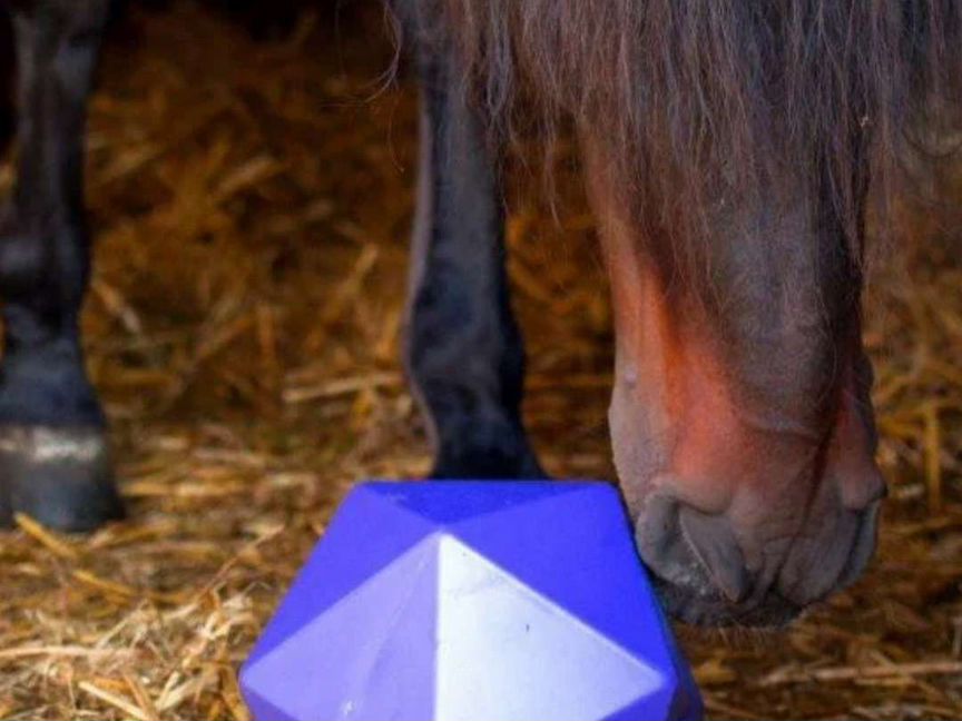 Игрушка мяч для лошадей