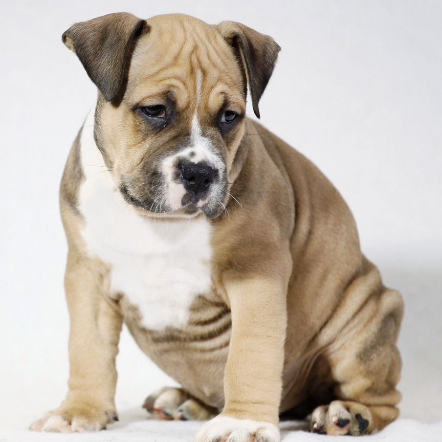 Рыжий мальчик тяжелого типа