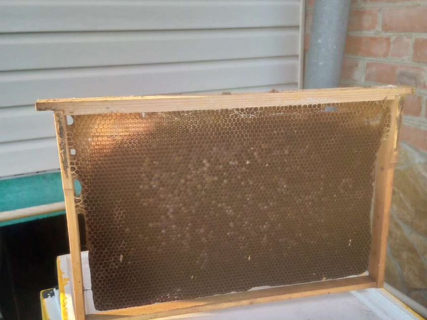 Рамки с вощиной