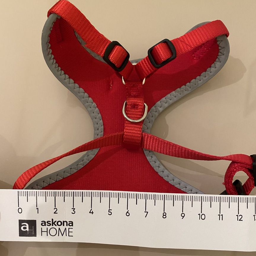 Шлейка для маленькой собаки