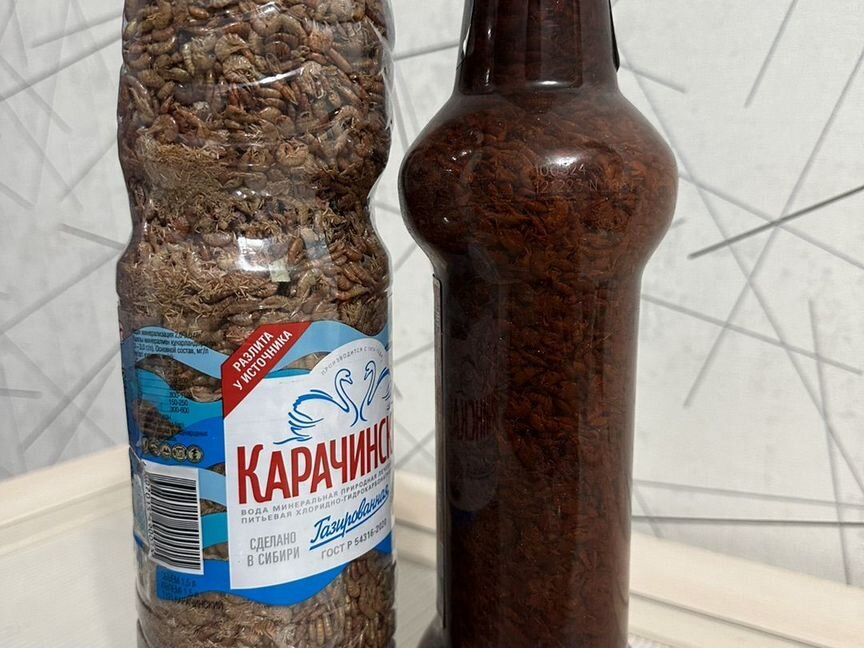 Гаммарус сушенный