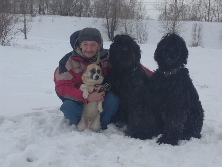 Бублик в поиске дома