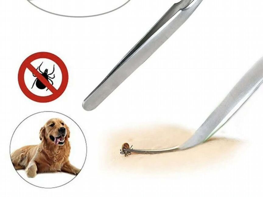 Инструмент для удаления клещей