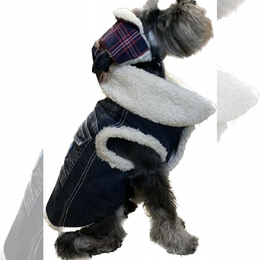 Одежда для собак (кофты, комбинезоны)