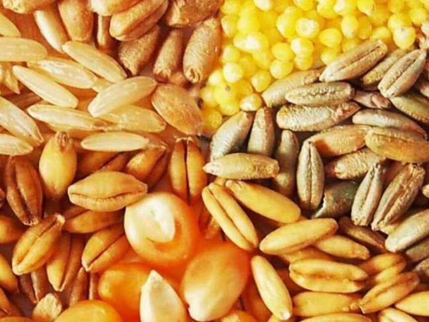 Продам зерно