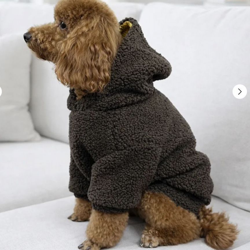 Одежда для собак мелких пород