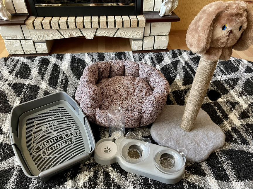 Набор для котенка