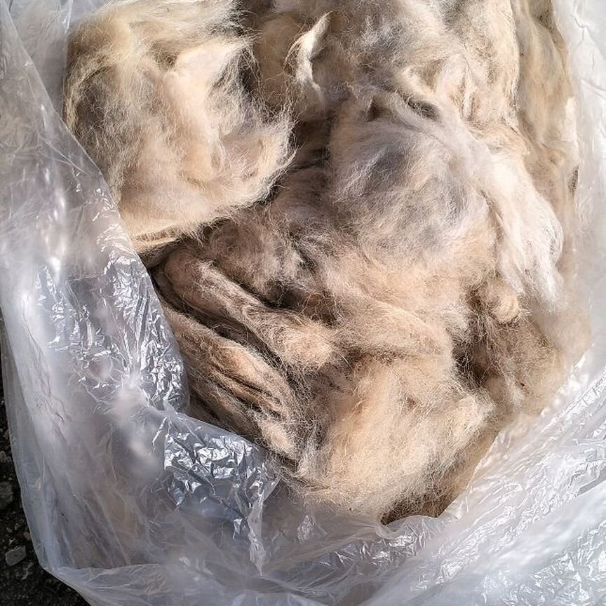 Шерсть собачья