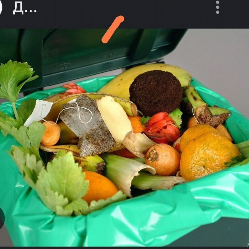 Пищевые отходы для животных