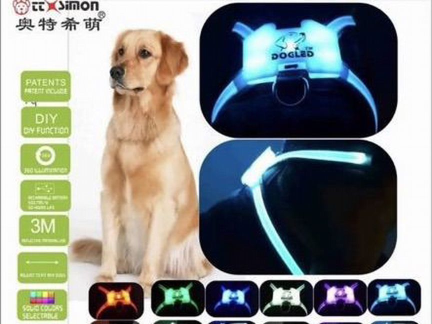 Аксессуары для собак