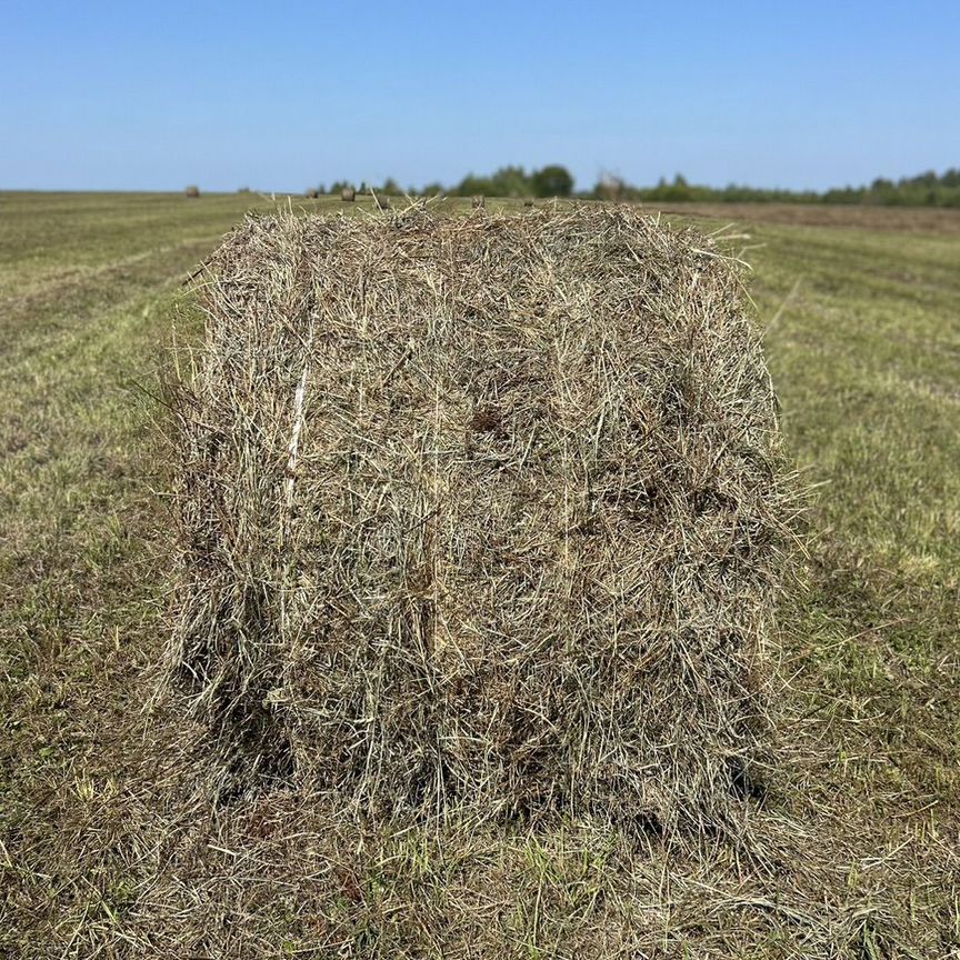Сено в рулонах по 300 кг