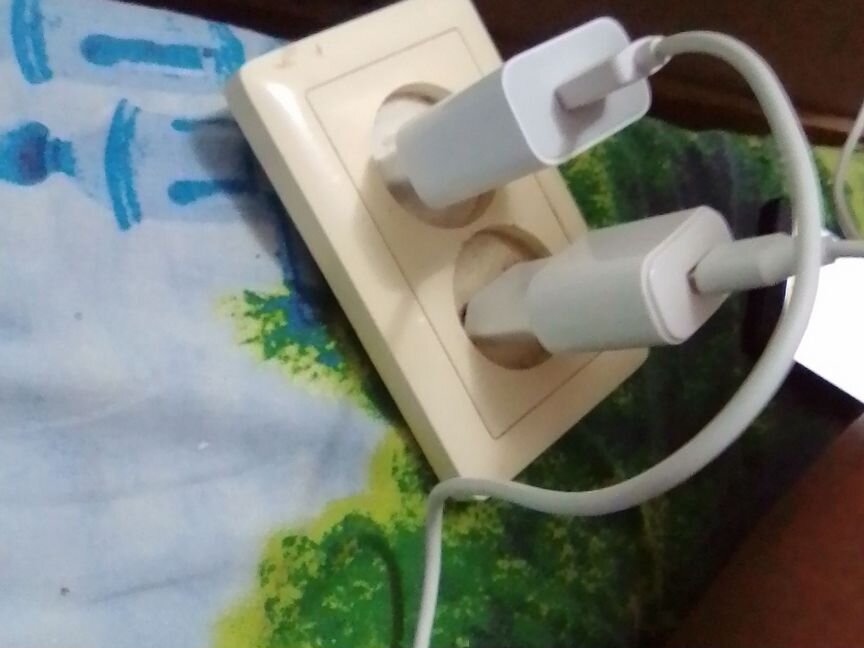 Продажа собак щенков 5 штук