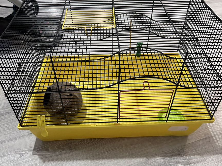 Клетка для грызунов