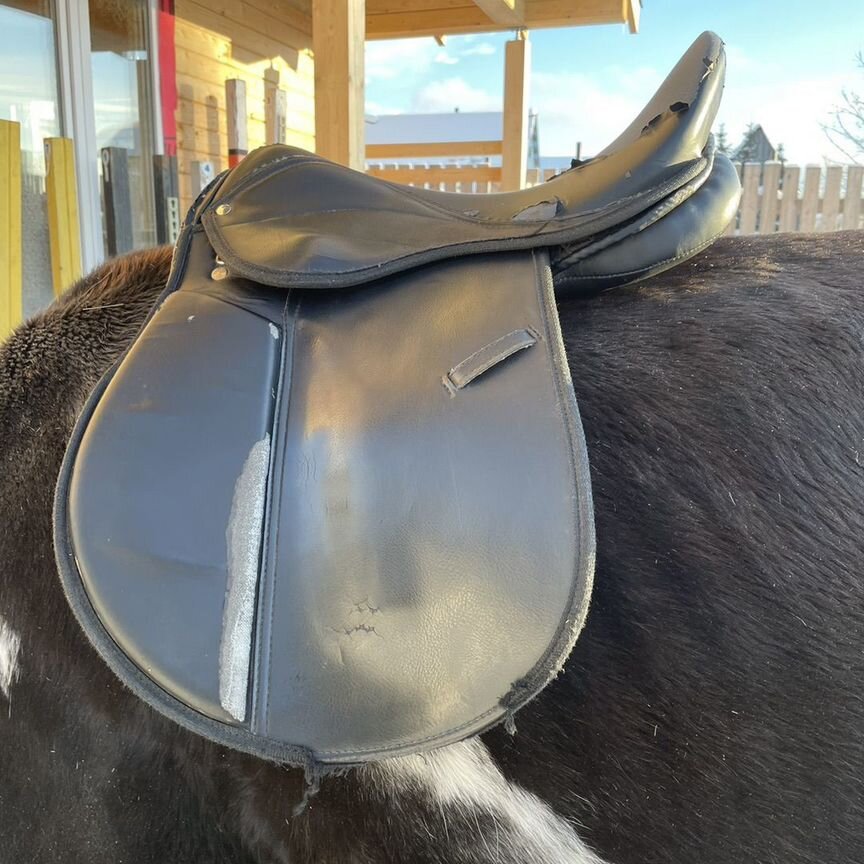 Конкурное седло