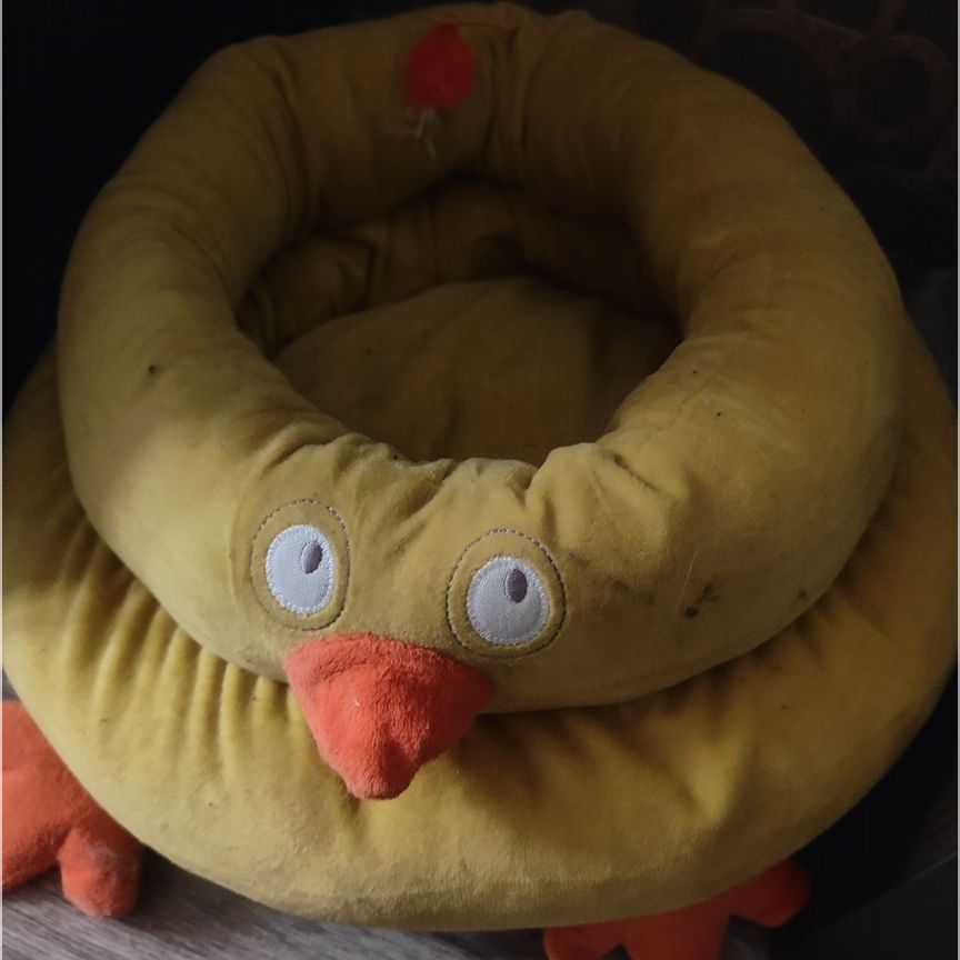 Стильная Лежанка для кошек