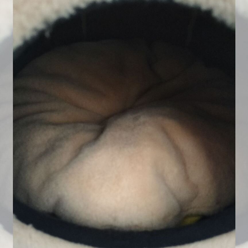 Домик лежанка для кошки и собаки