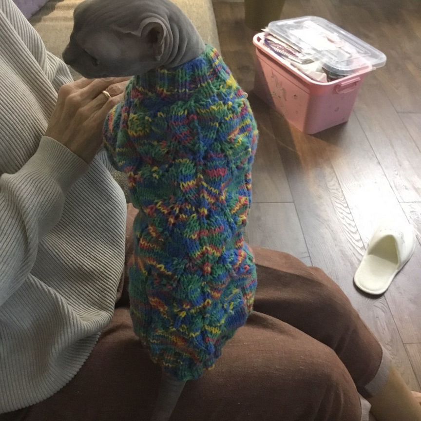 Джемпер для кота