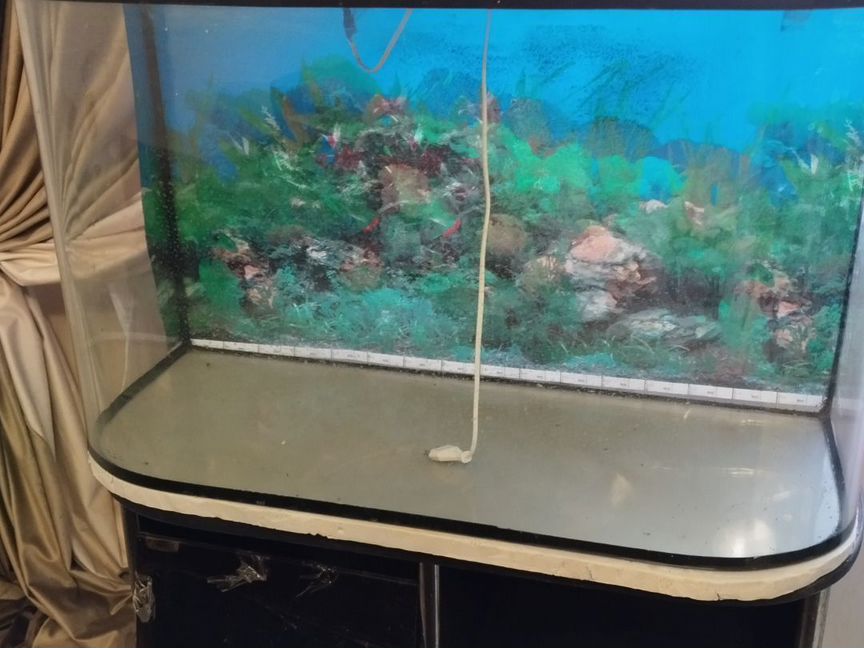 Аквариум с тумбой бу