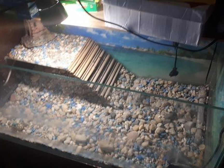 Акватеррариум для черепахи