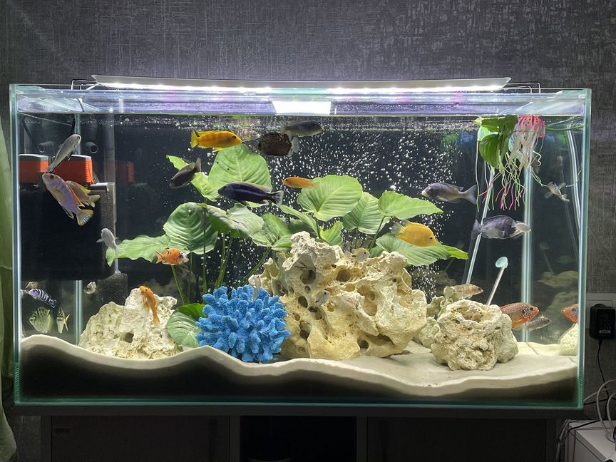 Аквариум с тумбой 180 литров