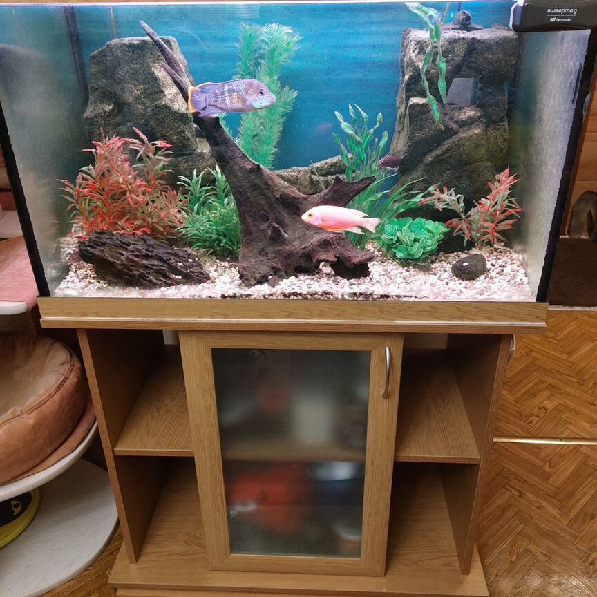 Аквариум AquaPlus 170л