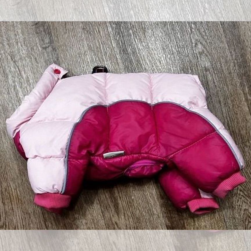 Одежда для собак мелких пород